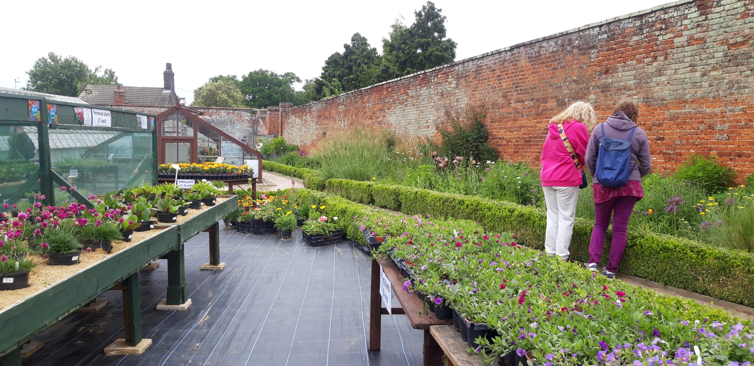 Join ActivLives for the launch of a new range of plants! - Ipswich ...